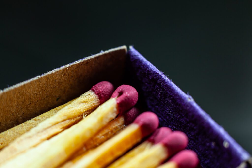 Makrofotografie für Anfänger: Alles, was du über Makrofotografie wissen ...